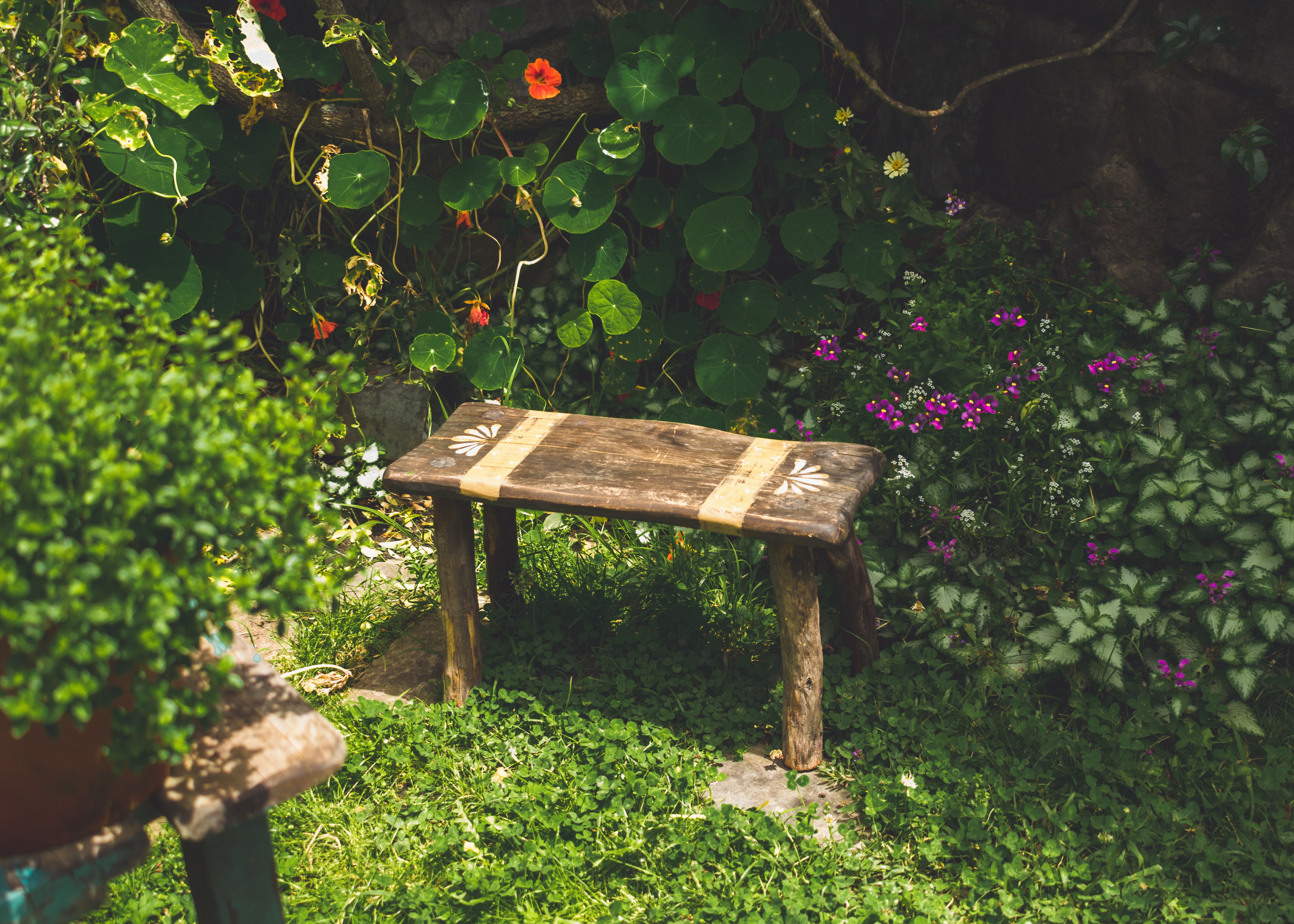 Homily: Creation and the Trinity: Scooch Over and Make Space – WEST END ...